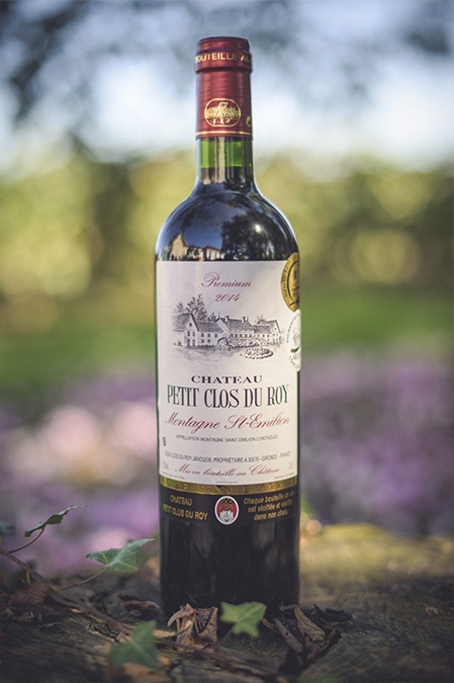 Château Petit Clos du Roy - Montagne-Saint-Émilion