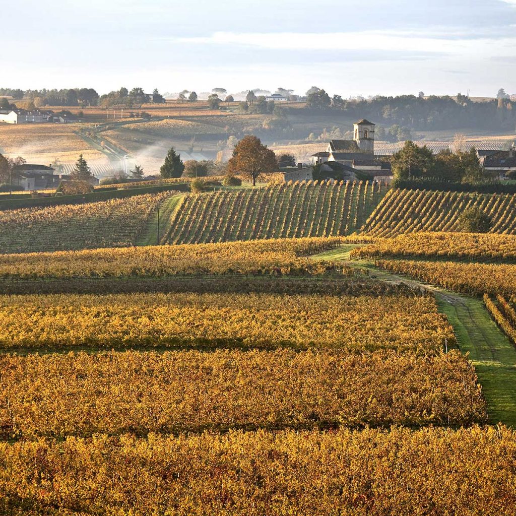 Terroir, une succession de plateaux et coteaux - Montagne-Saint-Émilion