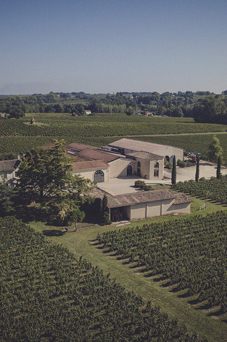 Château Maison Neuve - Montagne-Saint-Émilion