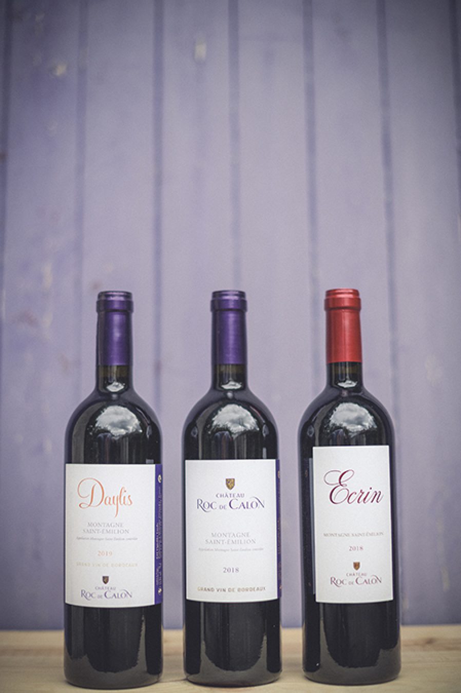 Château Roc de Calon - Montagne-Saint-Émilion