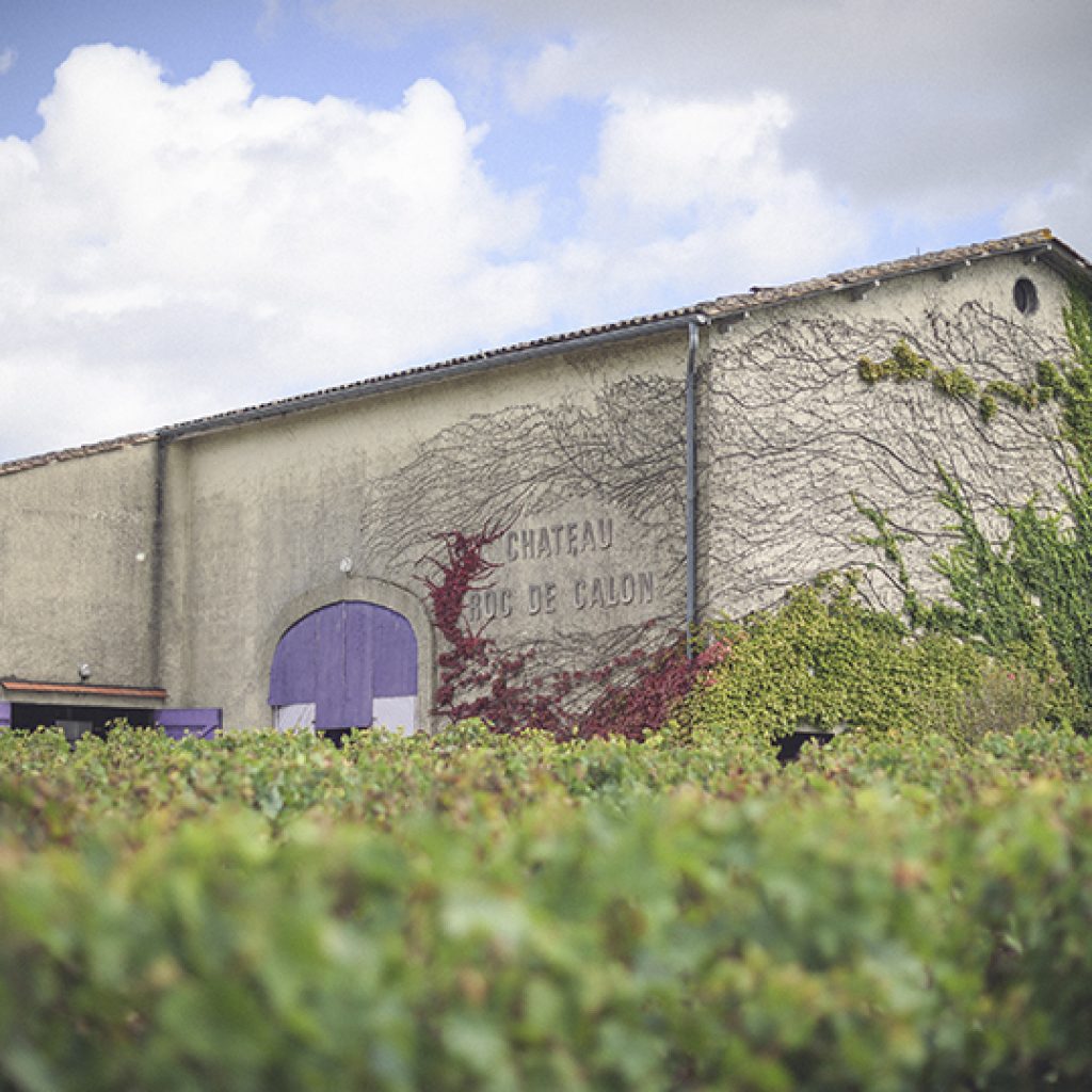 Château Roc de Calon - Montagne-Saint-Émilion