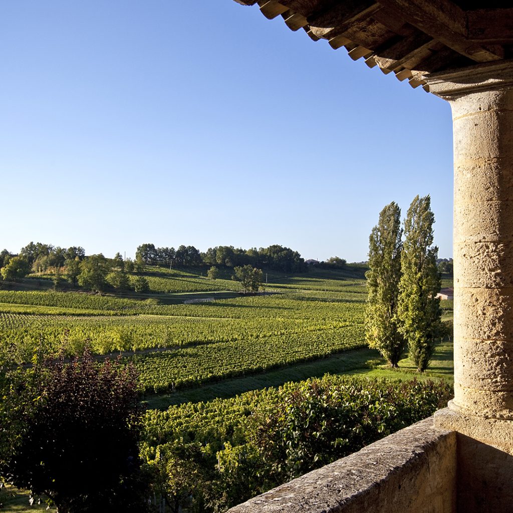 AOC Montagne-Saint-Émilion - Une mosaïque de vins et de terroirs