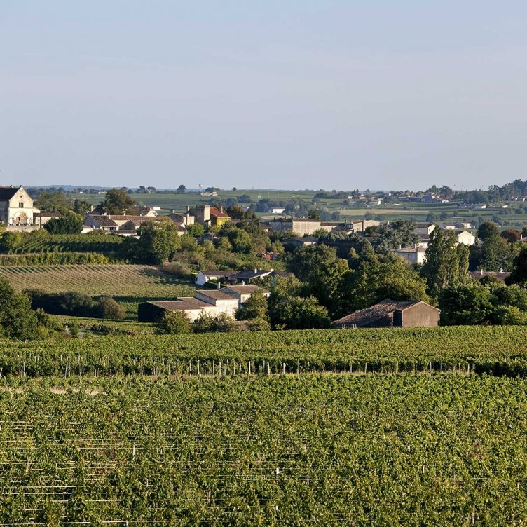Terroir, une succession de plateaux et coteaux - Montagne-Saint-Émilion