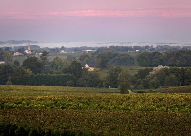AOC Montagne-Saint-Émilion - Une mosaïque de vins et de terroirs