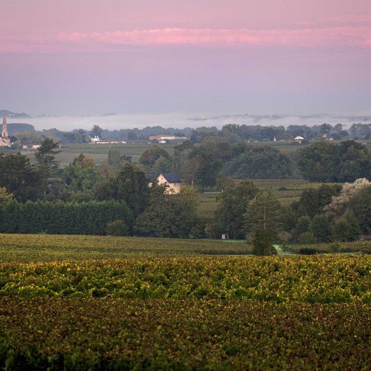 AOC Montagne-Saint-Émilion - Une mosaïque de vins et de terroirs